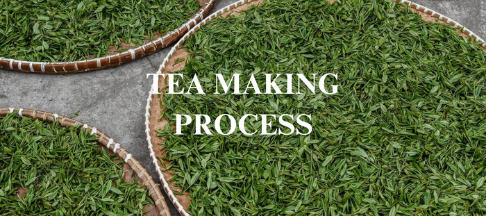 Tea Making Process